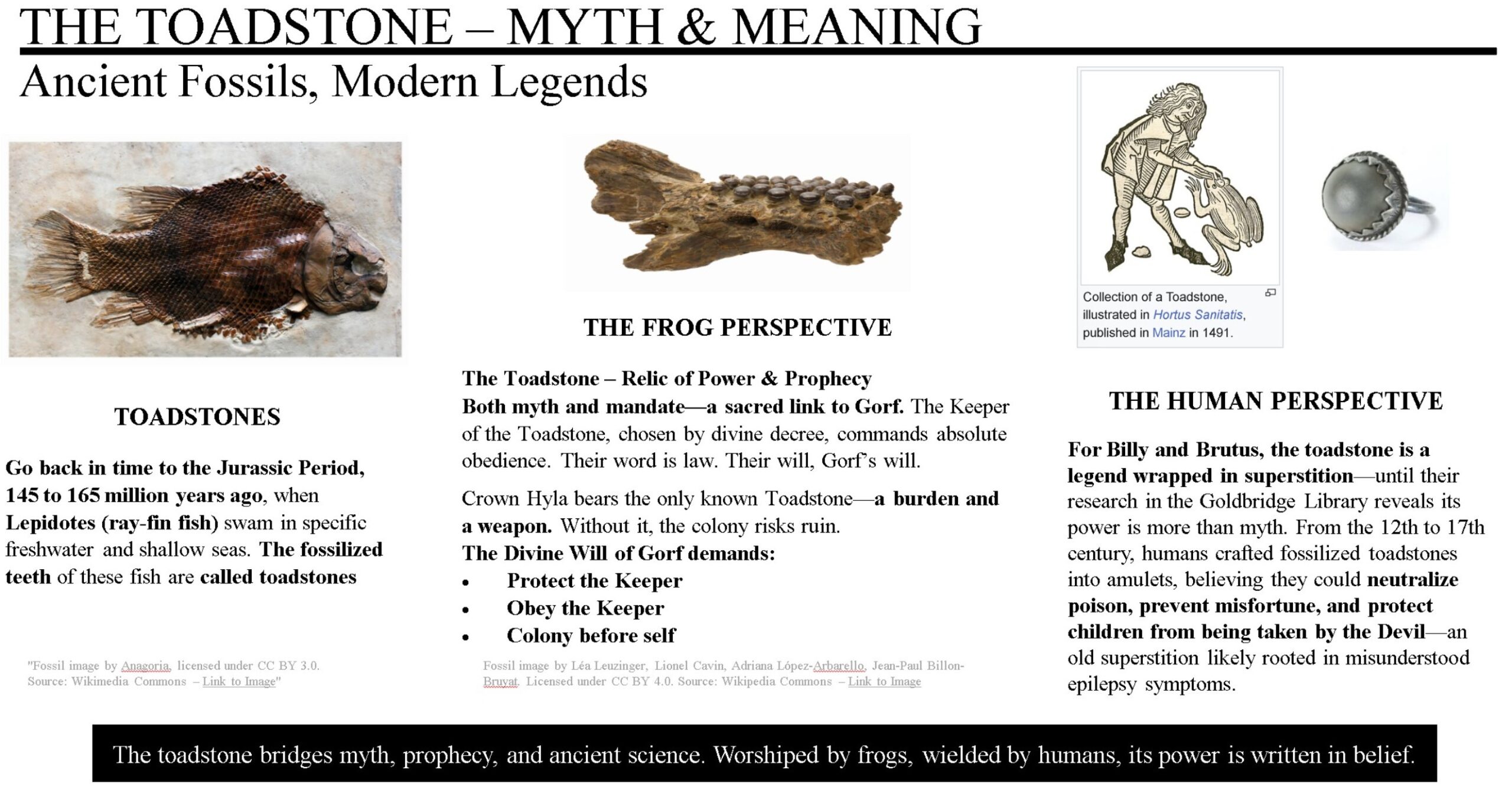 Michael J. Meraw – Eco-horror and Eco-Speculative Fiction – When the ...